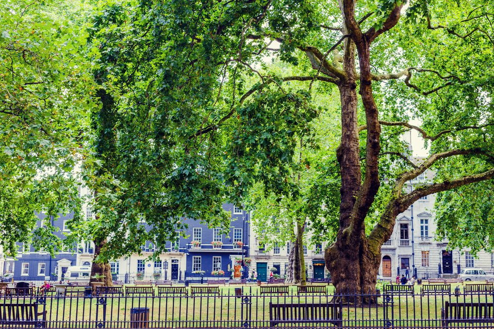 Berkeley Square: From Bentleys to Banking - Bold & Reeves Ltd.